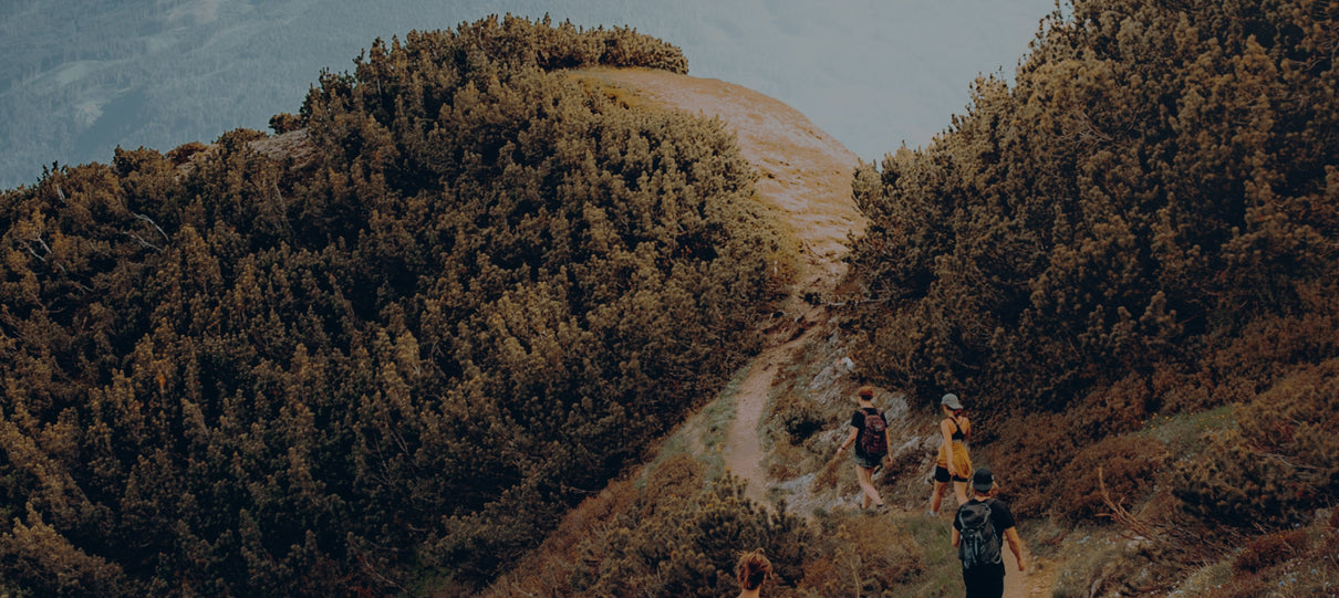 Run Wild | NA IPA Craft Brew | Athletic Brewing Co.